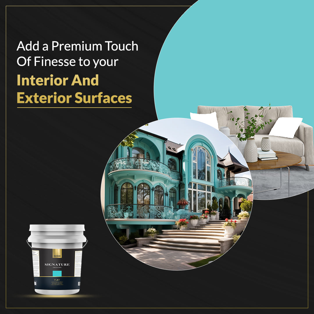 Evolve Paints: Premium Eco-Friendly Paints for Your Home
