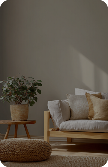 Evolve Paints: Premium Eco-Friendly Paints for Your Home