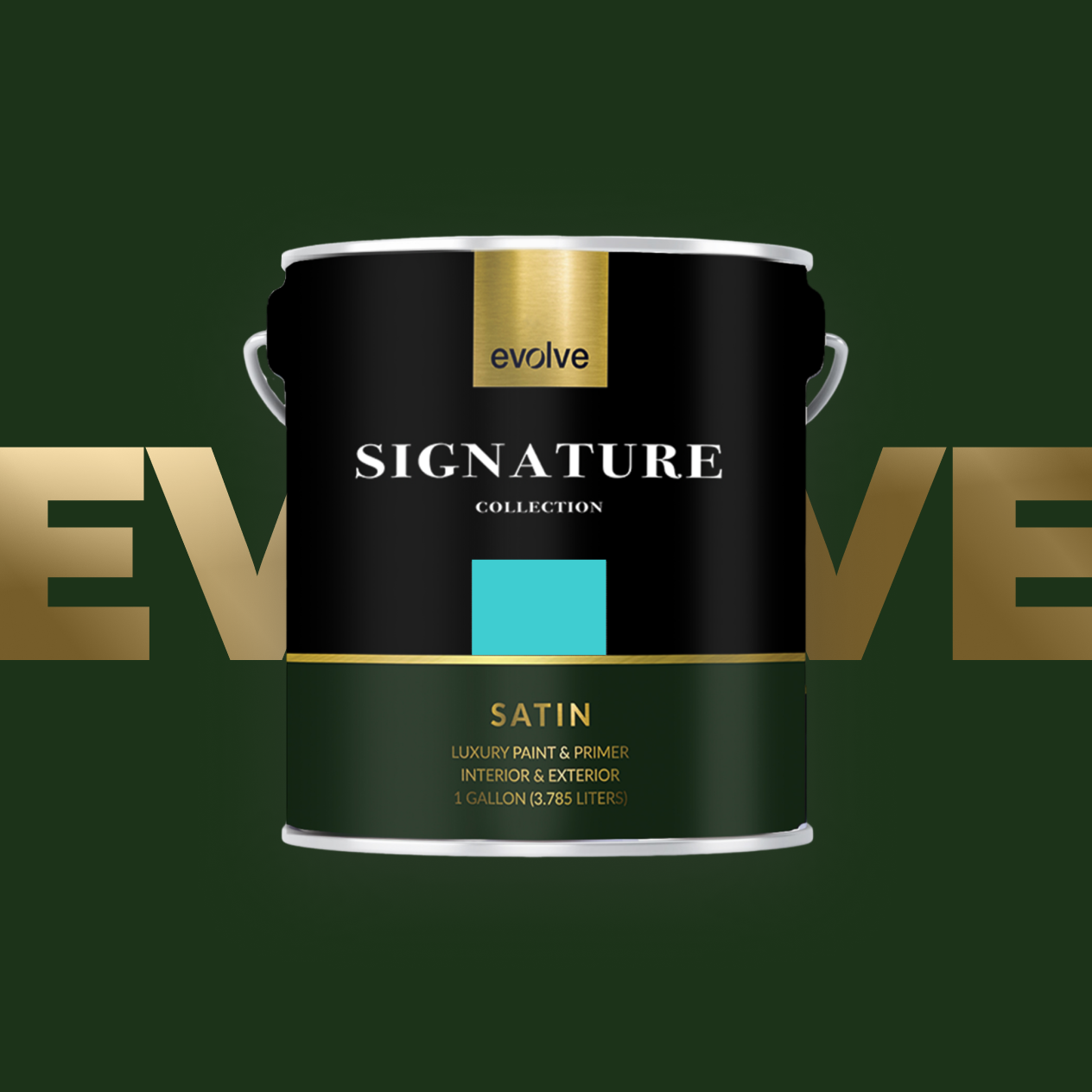 Evolve Color Paint & Primer