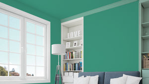 Evolve Color Paint & Primer